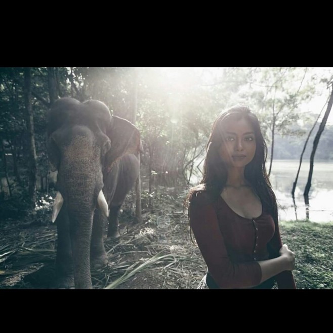 Kammatipaadam Actress Shaun Romy Stills - onlookersmedia