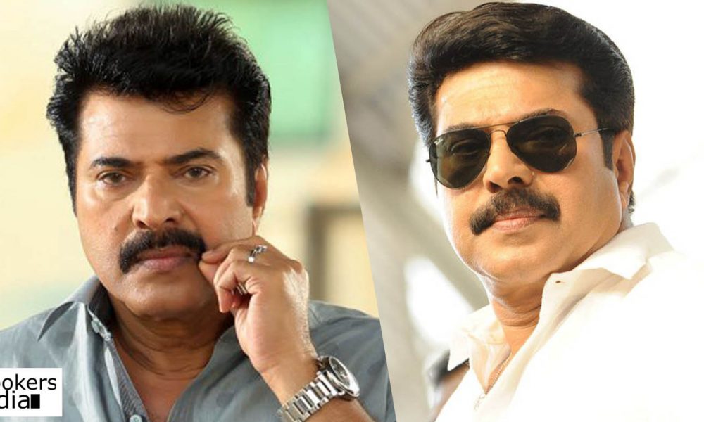 Mammootty's mass thriller with Ajai Vasudev starts rolling